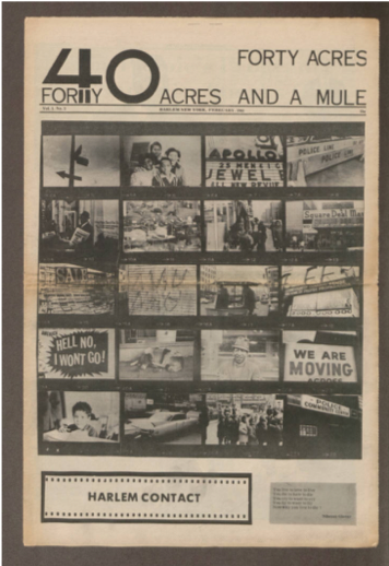 Sania Anwar | Unearthing Justice: Book Review of Katherine Franke’s ...