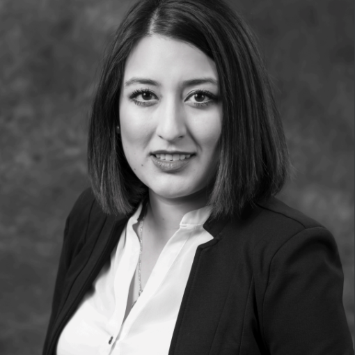 Navigating the Intersection of Climate Change and the Law of the Sea ...