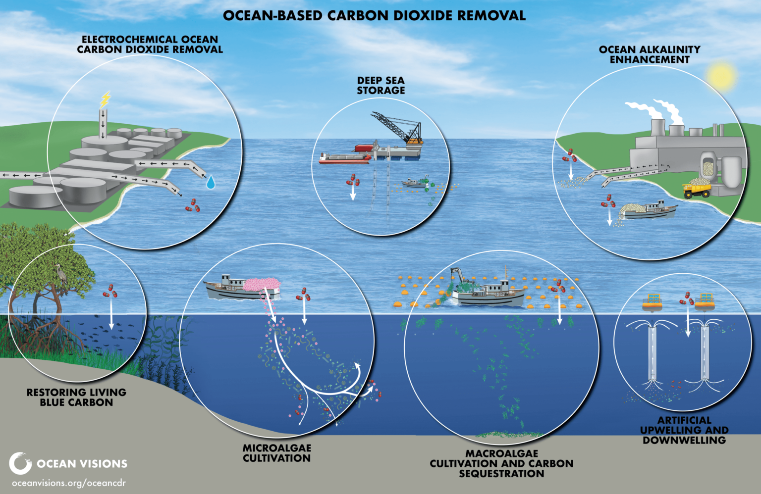 International Governance of Ocean-Based Carbon Dioxide Removal: Recent ...