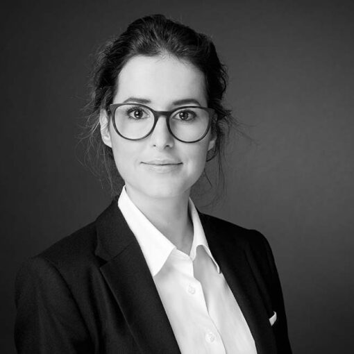 Separation of Powers and KlimaSeniorinnen - Climate Law Blog