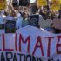 Climate Change in the Courtroom: UNEP and Sabin Center’s Global Climate ...